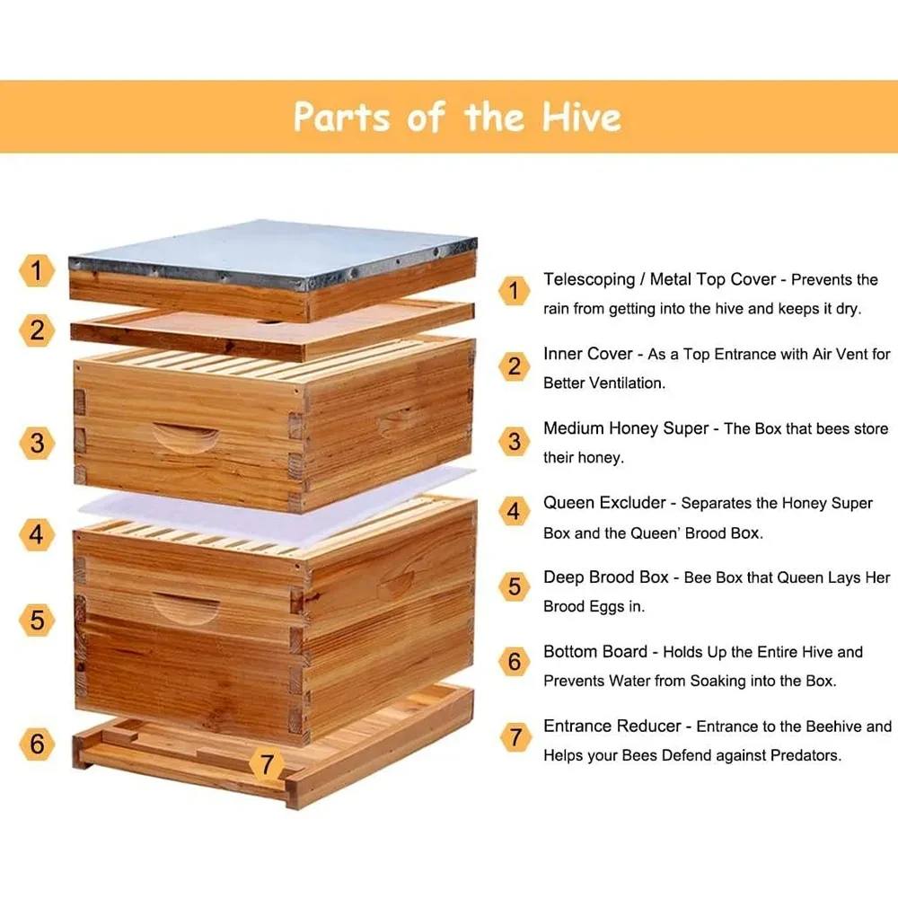 AMZ Hot Sale 3 Layers Complete Langstroth Bee Hive Kit Wax Beekeeping ...