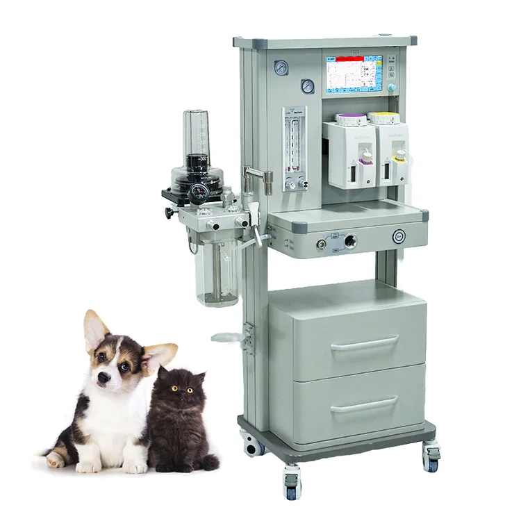 Medical Professional Animal Use Veterinary Anesthesia Workstation With ...