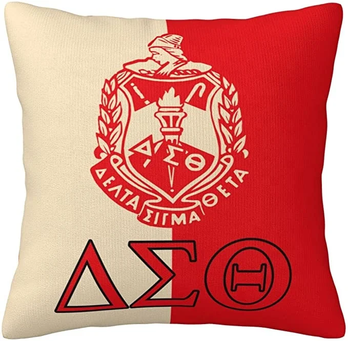Custom Sorority Sigma Gamma Rho Pillow Covers Decorative Cushion Pillow ...