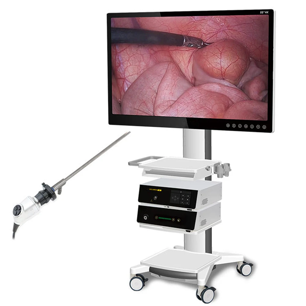 Camjoy Medical Rigid 4k Laparoscope Endoscope Camera System Set ...