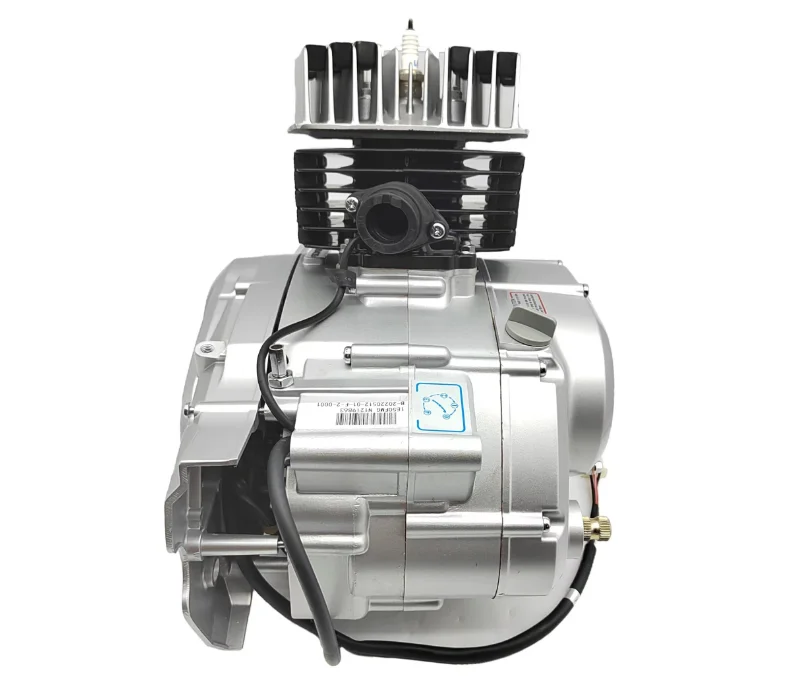 Oem Lifan Ax100cc Motorcycle Engine Assembly 2-stroke 100cc Bicycle ...