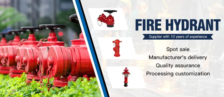 2 Ways Fire Hydrant 4inch Inlet - Taikong Ductile Cast Iron