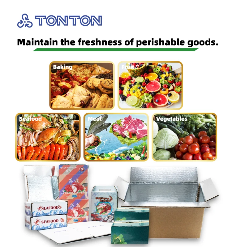 Insulated Food Cooler Packaging - Perfect for Frozen Shipping