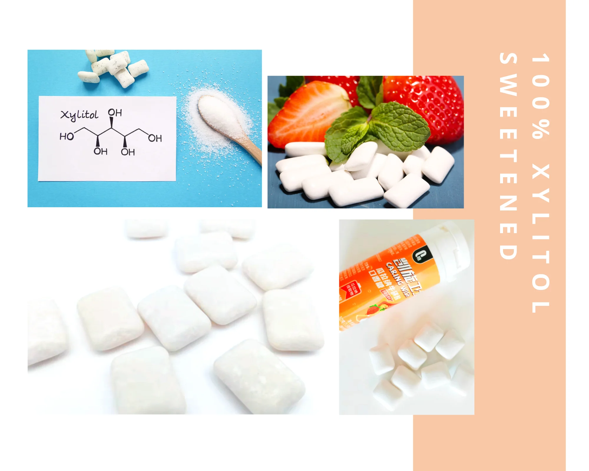 Tooth Friendly Sugar Free Chewing Gum 60g Per Bottle Ice Watermelon ...
