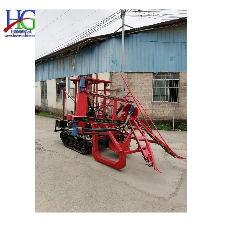High Productivity Farm Combine Cutter Moissonneuses Mini Sugarcane ...