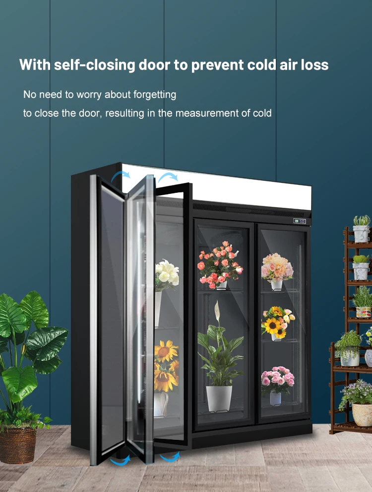 Apex Chiller Flower Display Fridge - Frost Free & Digital Control