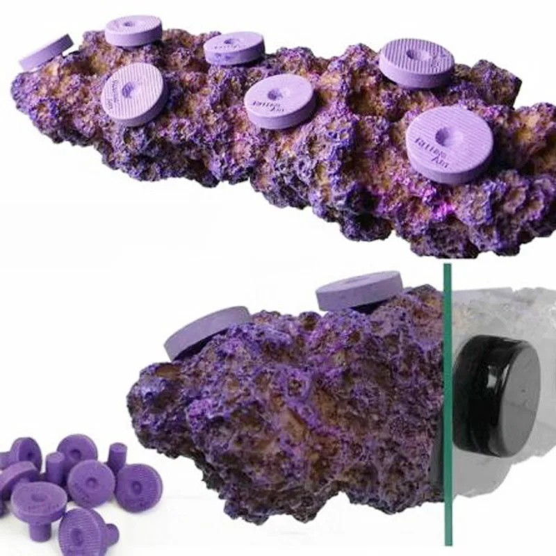 Custom Ceramic Coral Frag Disk Bisque Fish Tank Decor Ornament Crafts ...