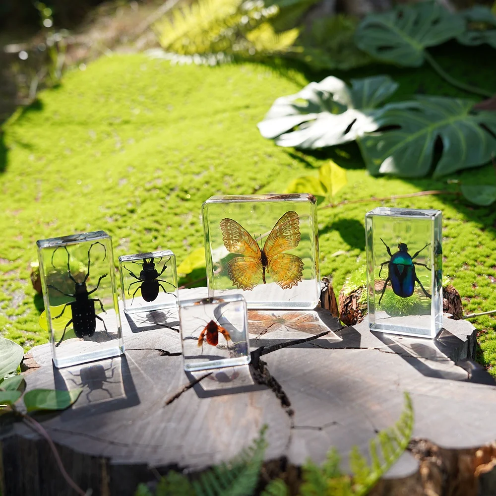 2023 New Resin Insect For Kids Beautiful Butterfly Supplier Educational ...