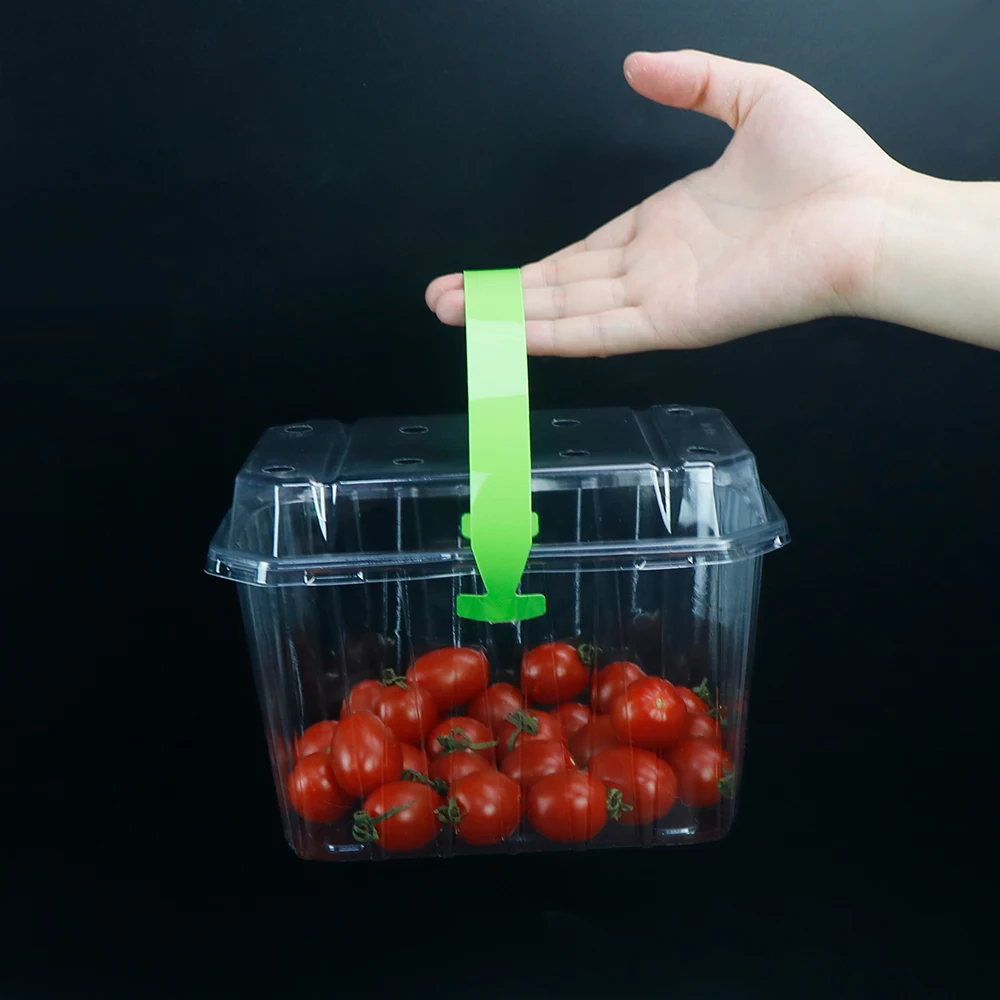 Custom Transparent Plastic Fruit Container with Handle , Clear Portable ...