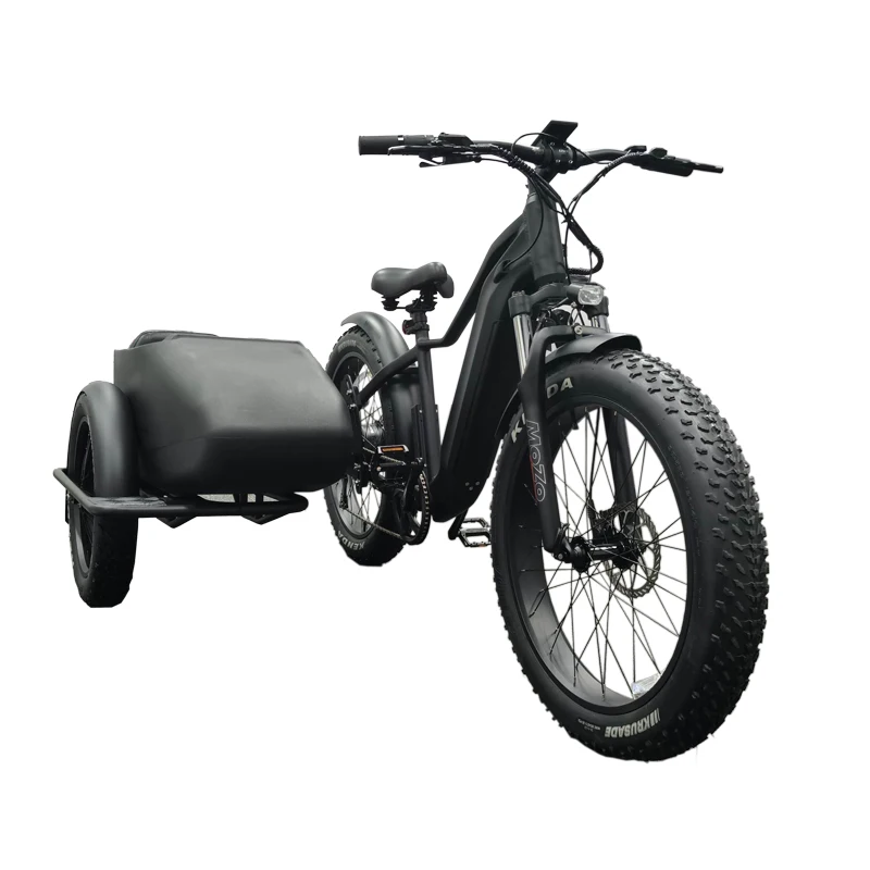 E Bike Side Car – Adult Electric Tricycle with 750W Motor, 3 Wheels ...