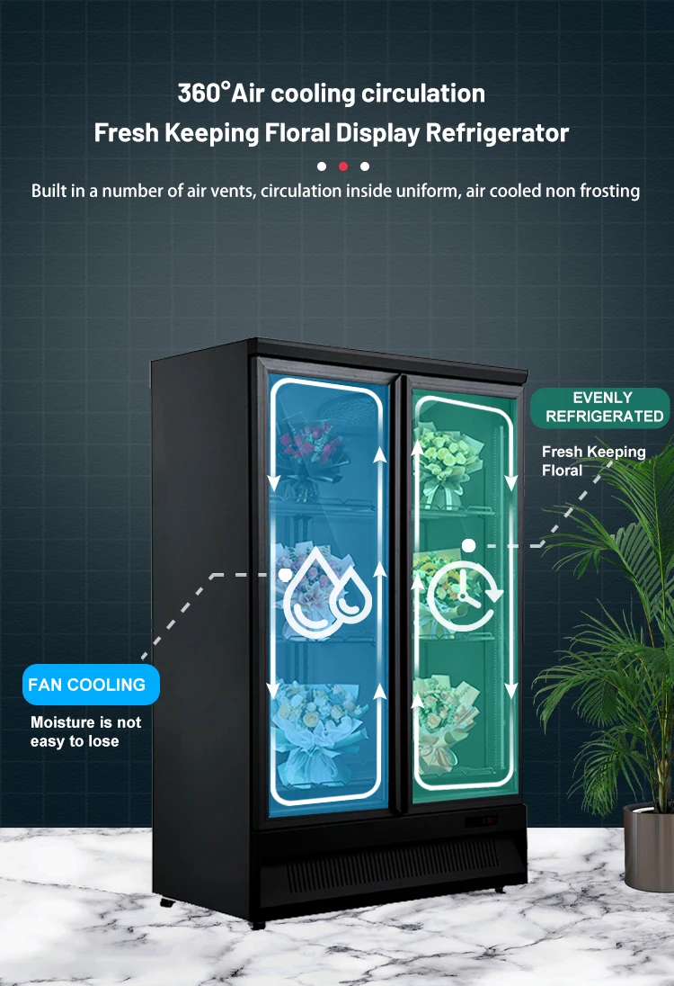 Apex Chiller Flower Display Fridge - Frost Free & Digital Control