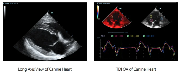 Mindray Vetus 7 Veterinary Ultrasound System – Color Doppler Imaging ...