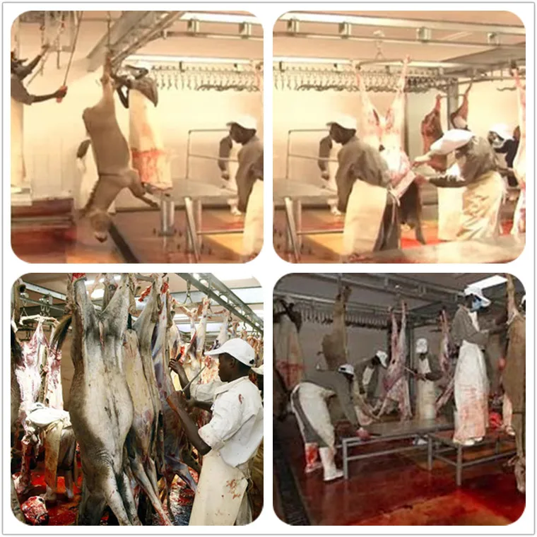 Efficient Donkey Meat Slaughter House with Processing Machine