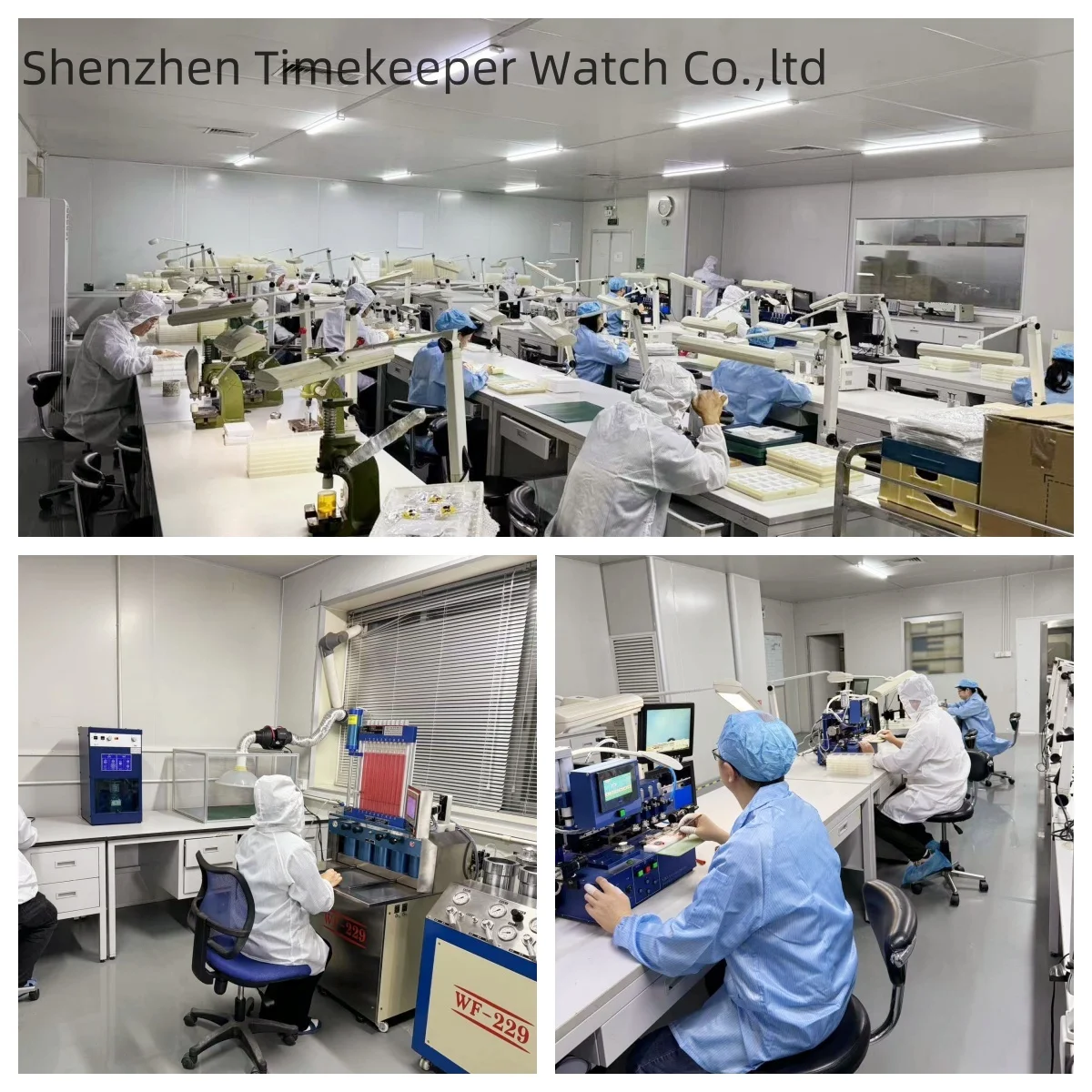 Company Overview - Shenzhen Timekeeper Watch Co., Ltd.