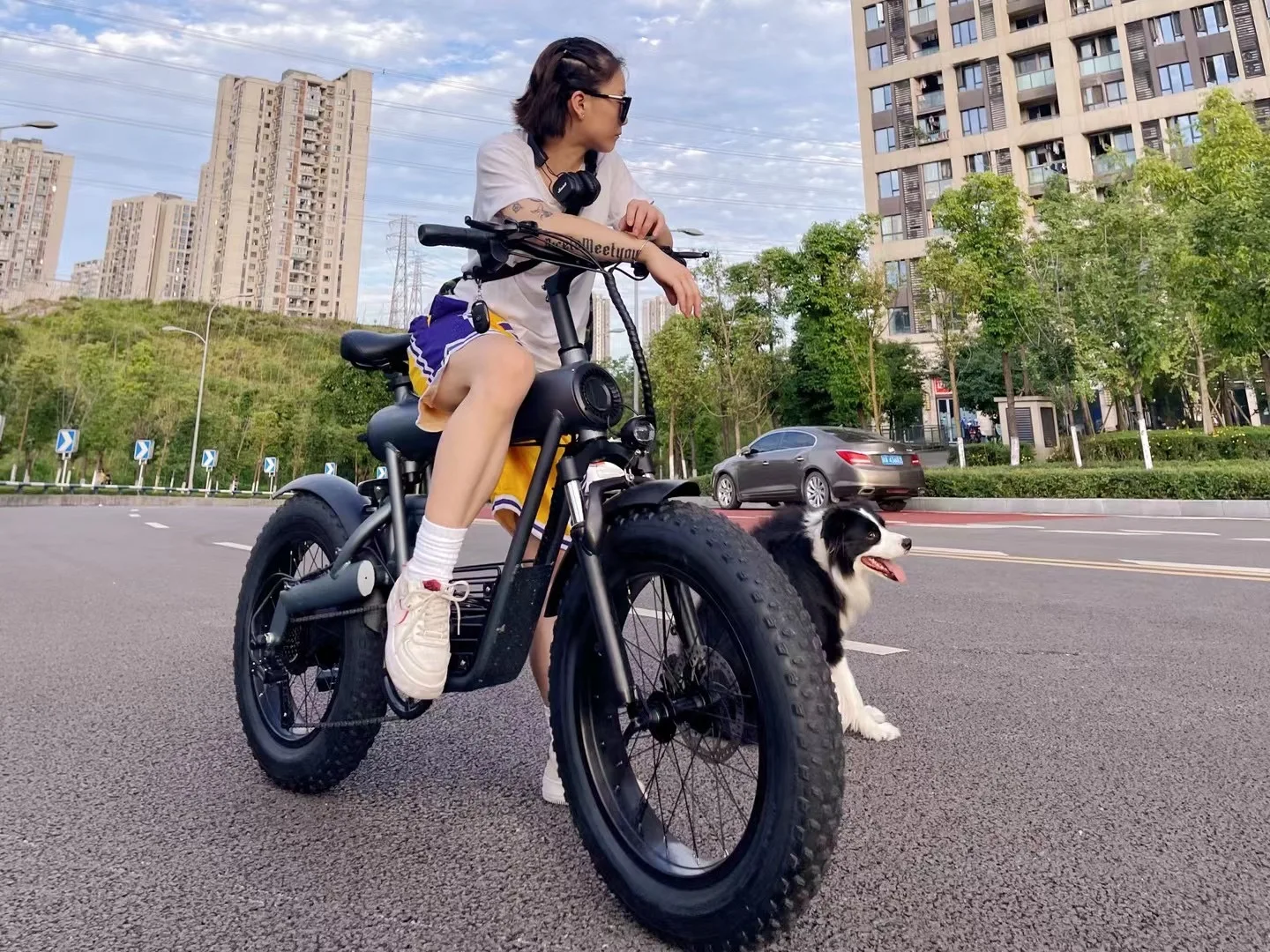 2021 Free Shipping Coswheel T20 Drop Shipping 10ah 15ah 20ah E Bike 20 ...