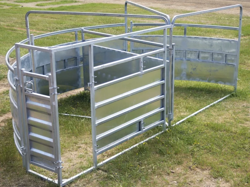 Rotary Separation Channel Crowding Tub Cattle Sweep System For Cattle ...