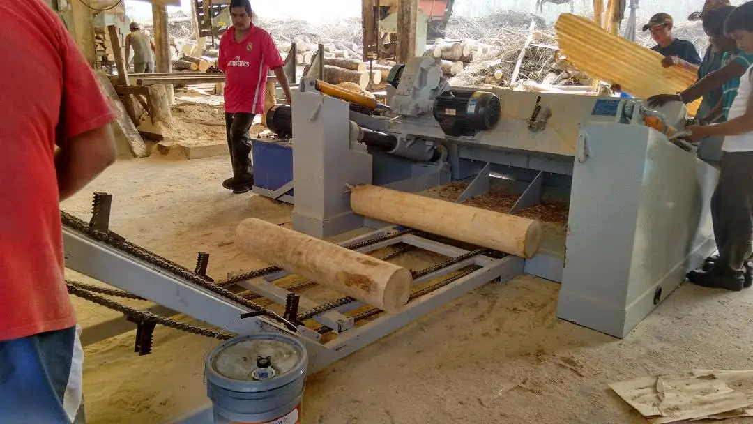 Log Wood Tree Debarking Machine Debarker for Plywood Rounding Wood Use ...