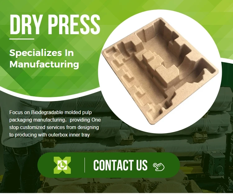 Durable Biodegradable Molded Pulp Packaging - Customized