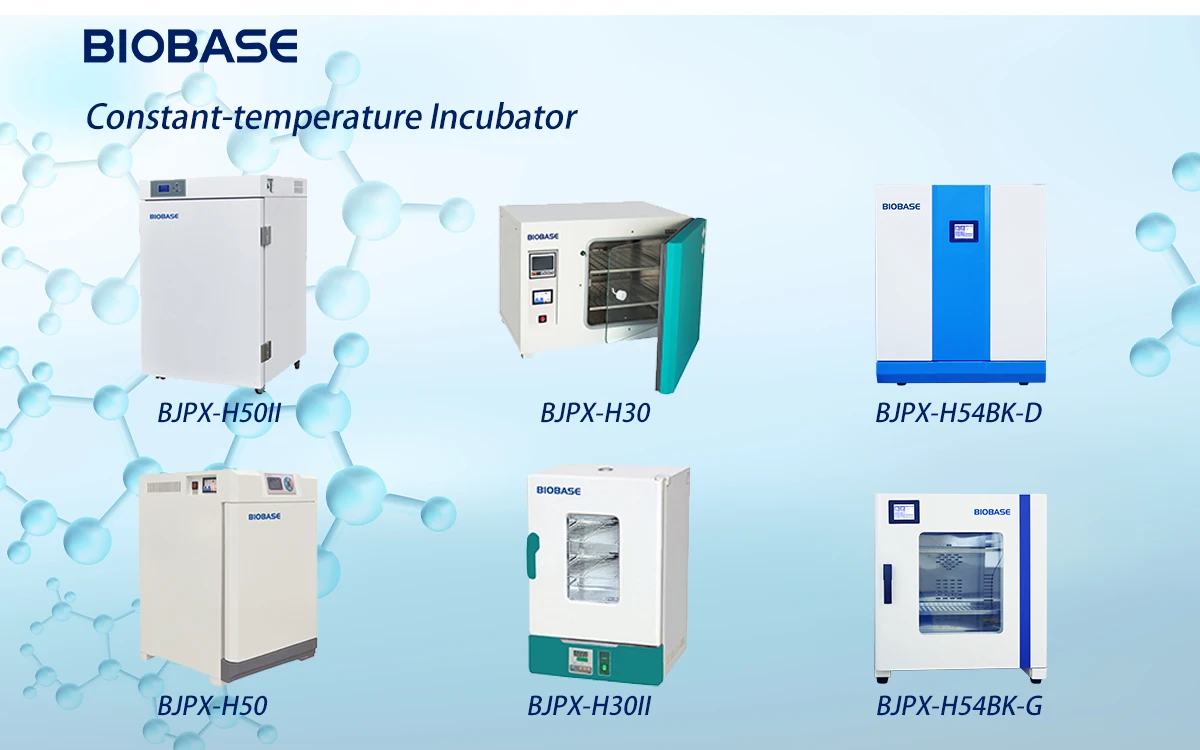 BIOBASE Platelet Agitator - Efficient Blood Bank Solution