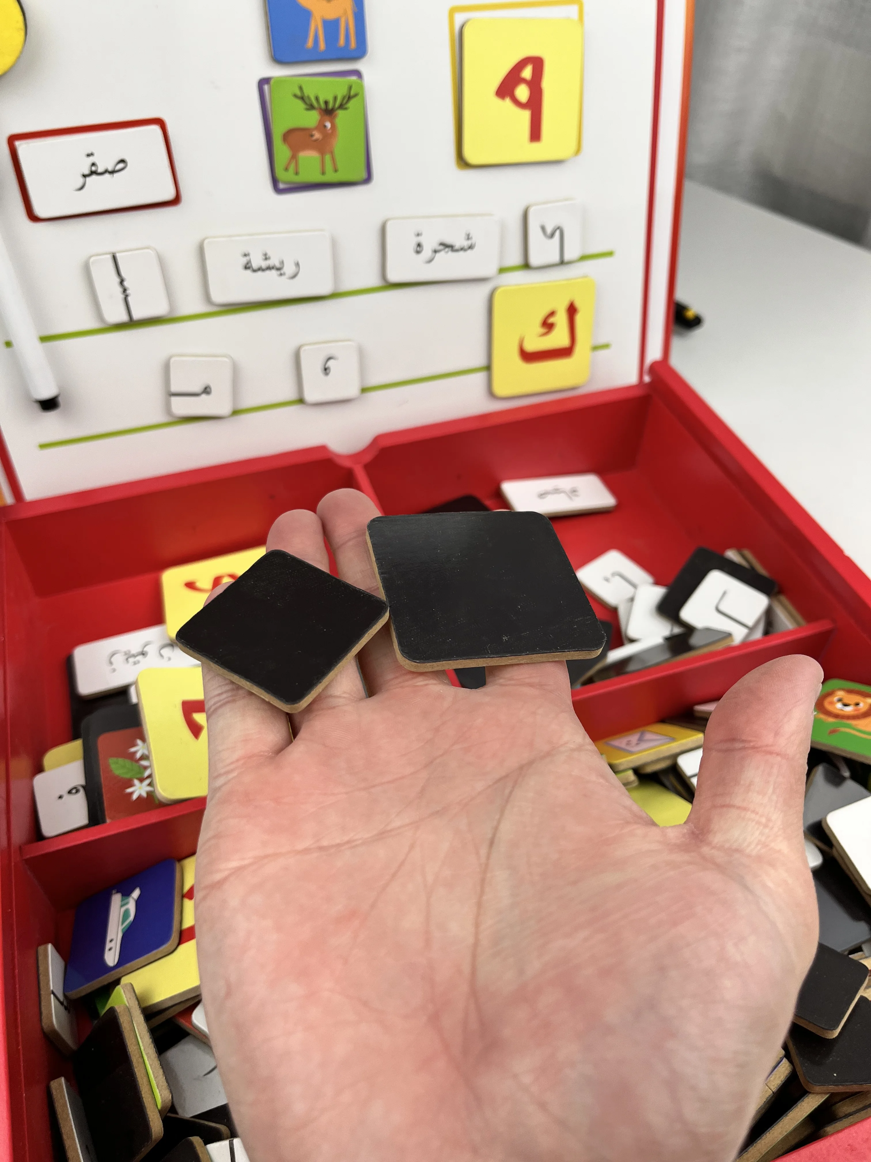 My Arabic First Words Card Toy - Educational Magnetic Fun