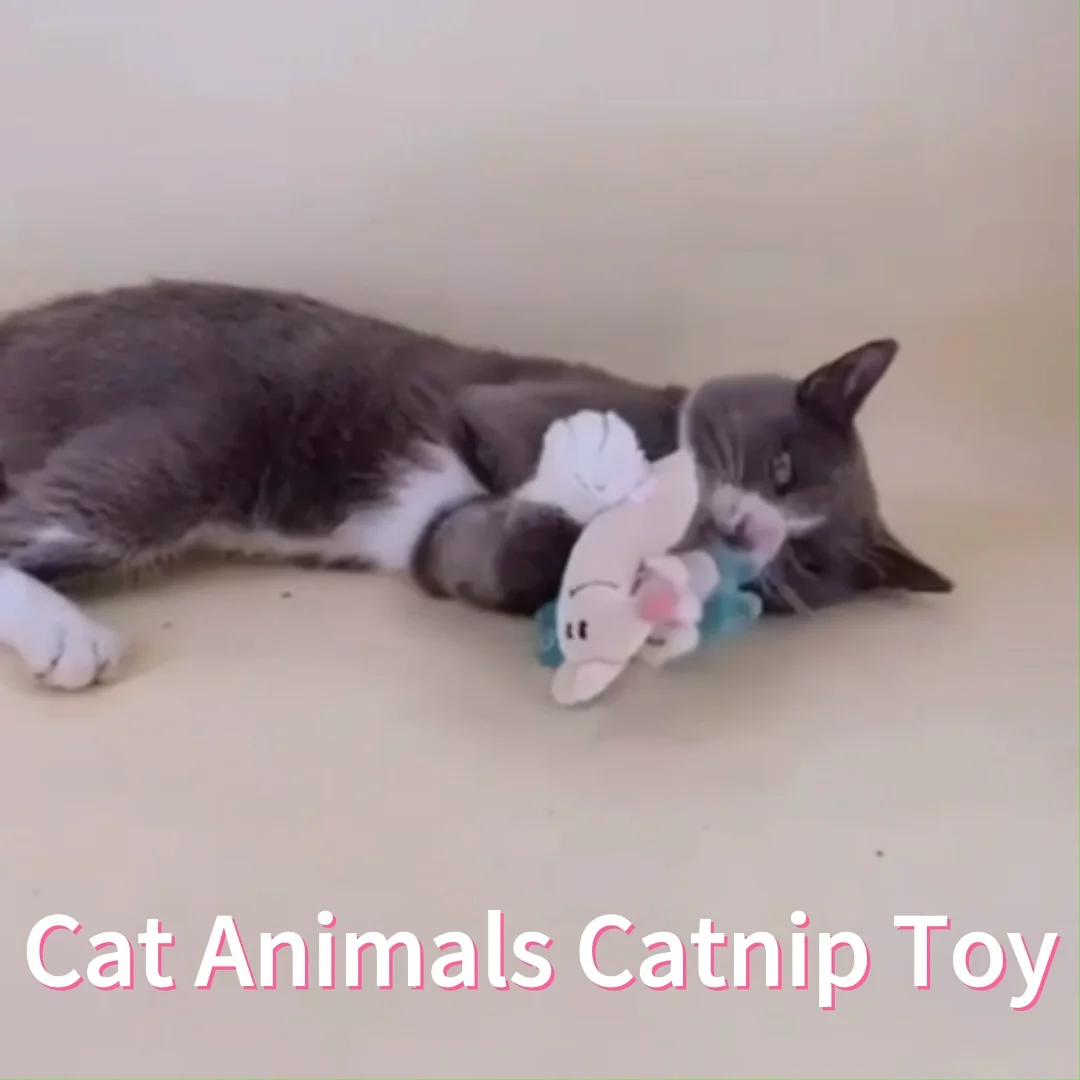 Cute Entertaining Catnip Filled Plush Interactive Cat Toys 2023 New Catnip Toys For Cats Chewing ...