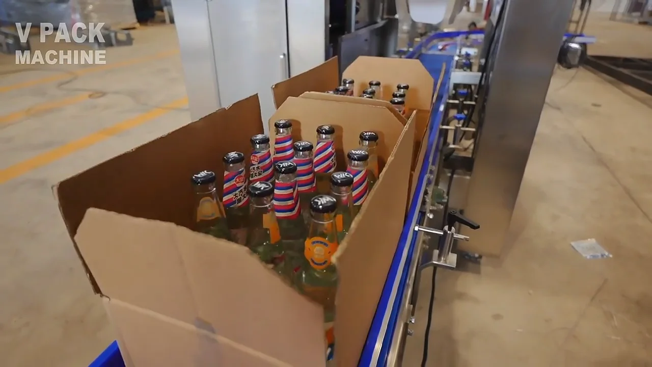 Gripper Carton Packing Machine/maquina De Embalaje De Carton Con Pinzas ...