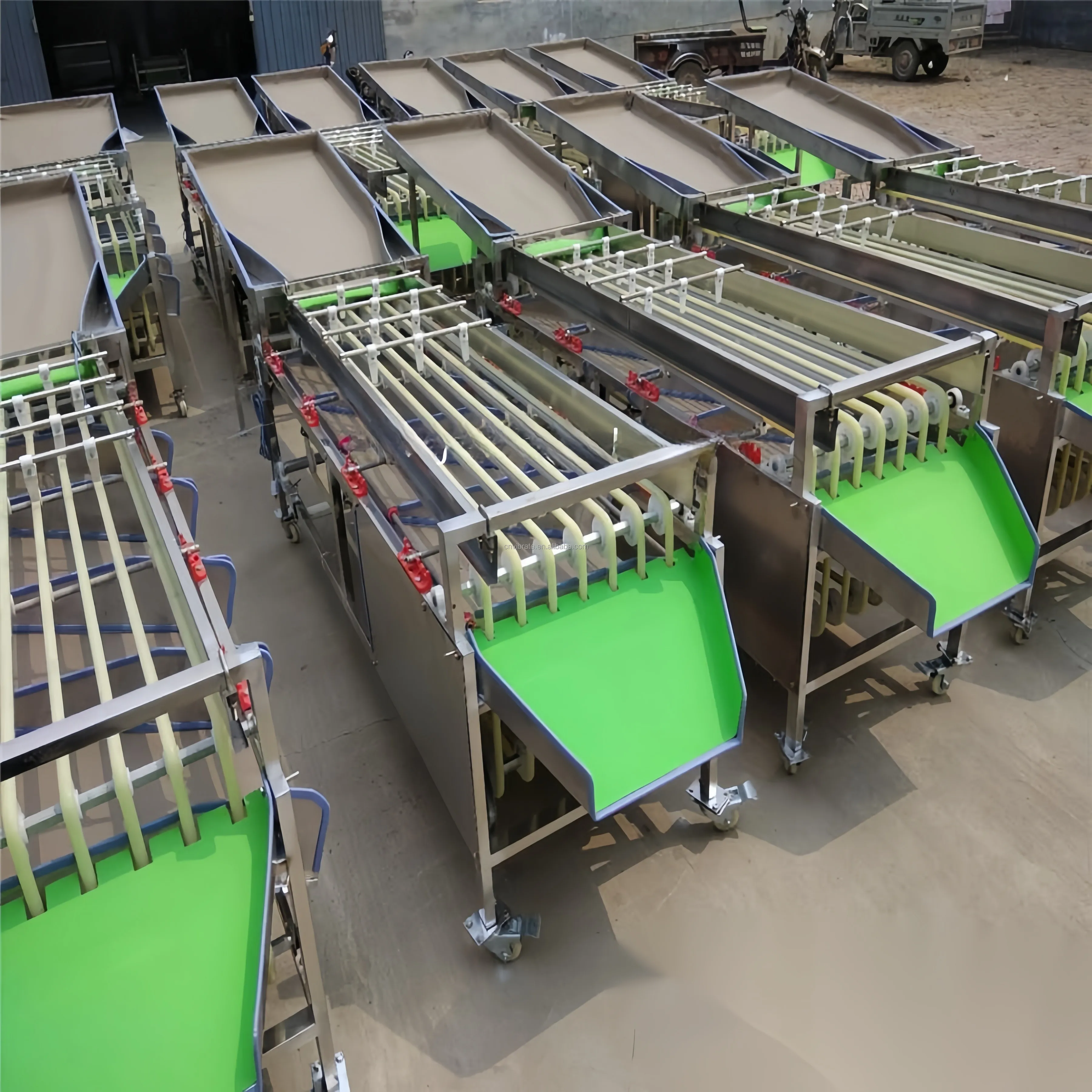 VBJX Automatic Industrial Potato Grader & Sorter