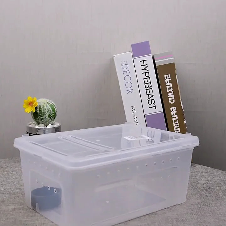 Reptile Breeding Box Insect Keeper Terrarium Reptile Terrarium Turtle ...