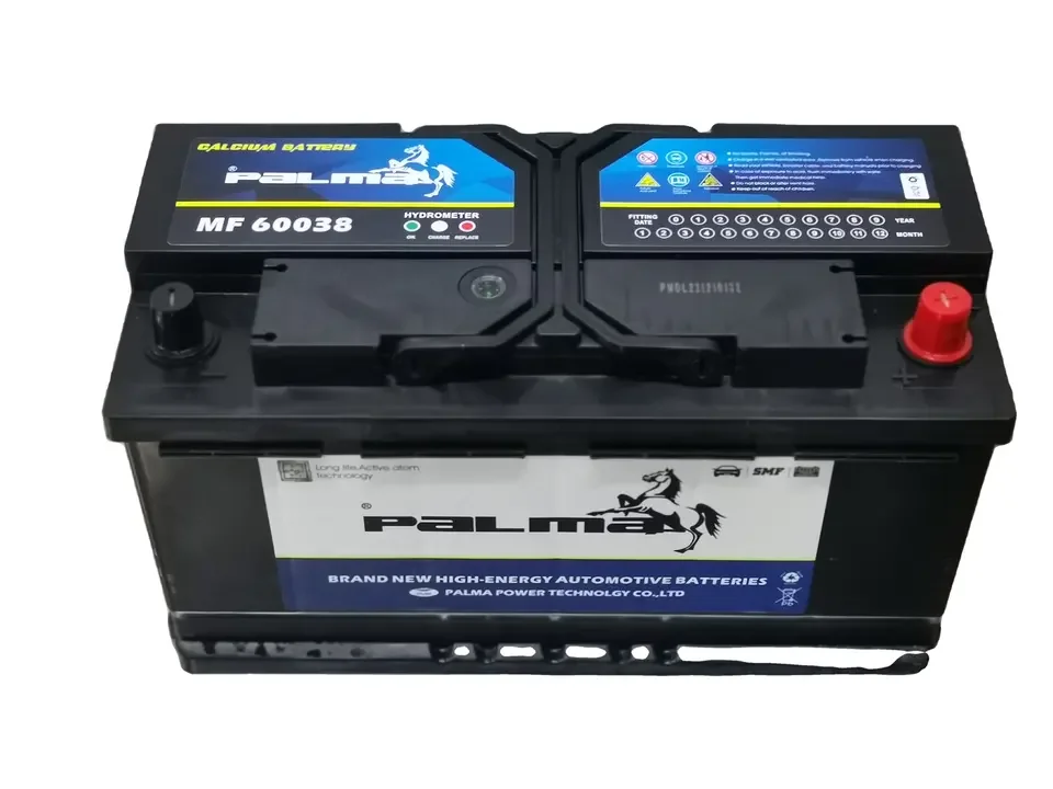 Palma High CCA Large Capacity DIN100 MF for European Vehicles Starting ...