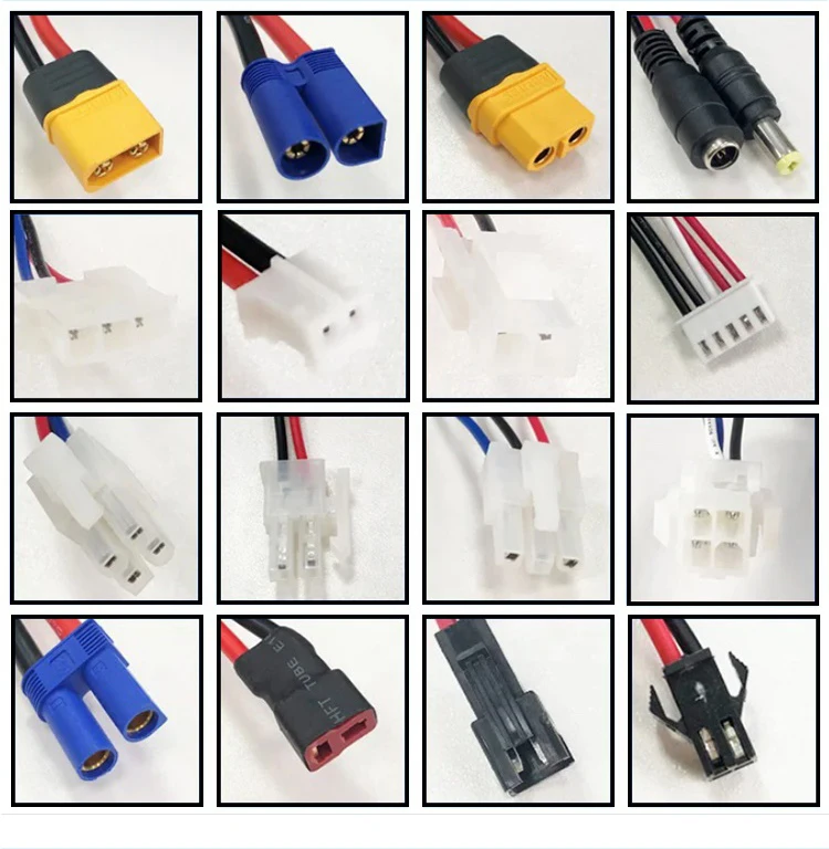 W5521 24V 10ah Lithium Ion Battery Pack for Electric Vehicles