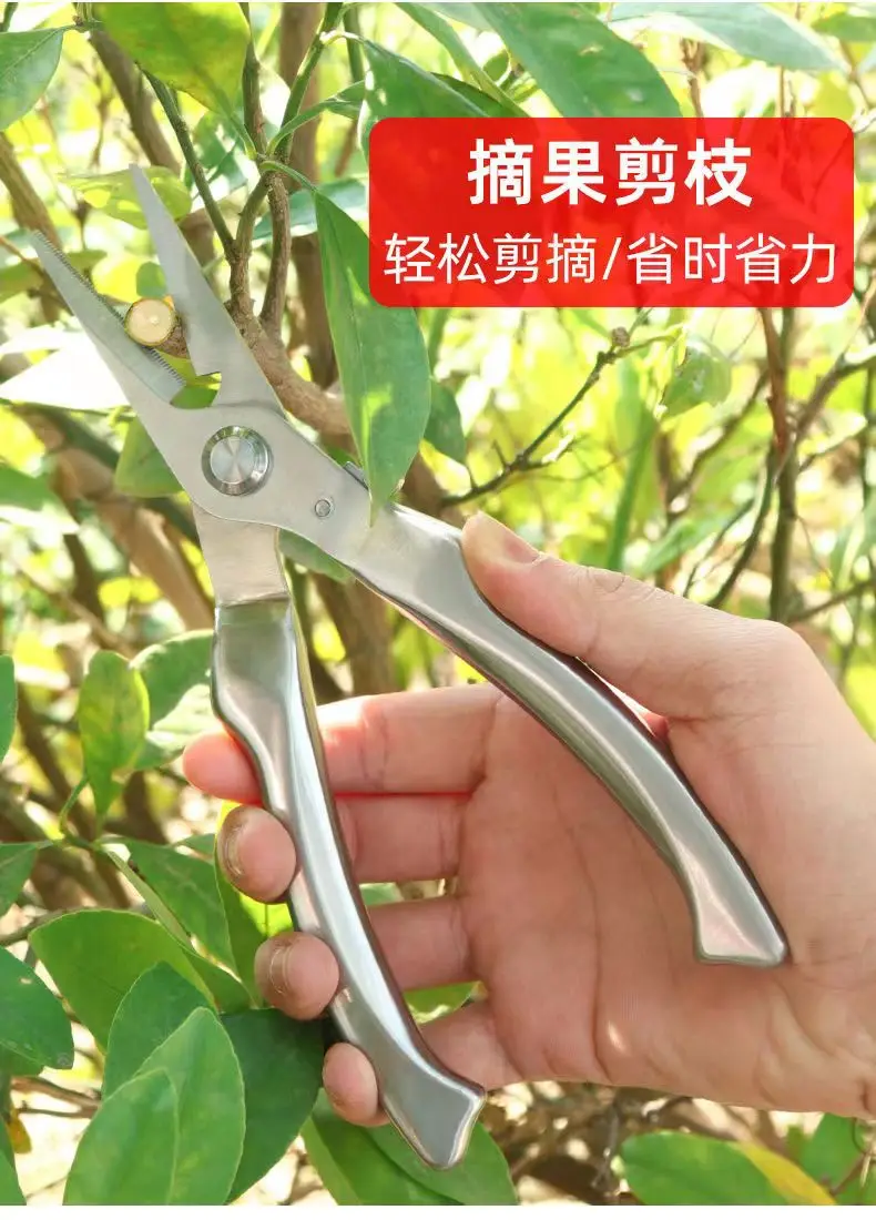 Fruit Tree Pruning Knife,Garden Pruning Branch Specialized Scissors ...