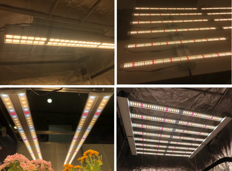 2022 New 660w Full Spectrum Grow Tent Led Grow Lgiht,Led-grow-light ...