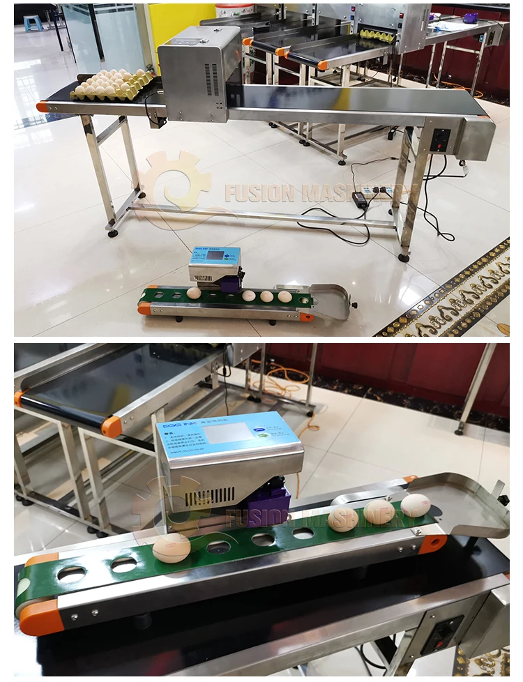 Hot Stamp Egg Printer Egg Printing Machine Price - Buy Egg Printing ...