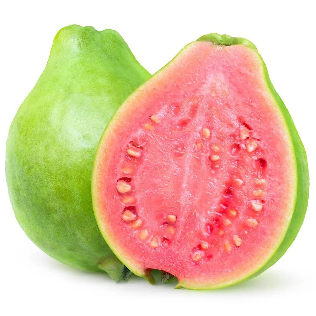 Fresh Light Pink Guavas New Crop Very Sweet From Vietnam Green Skin ...