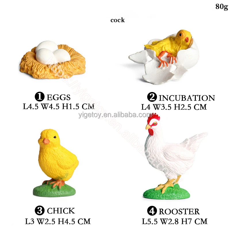 Life Cycle Of A Frog And Mosquito Montessori 3 Part Animal Flash Cards ...