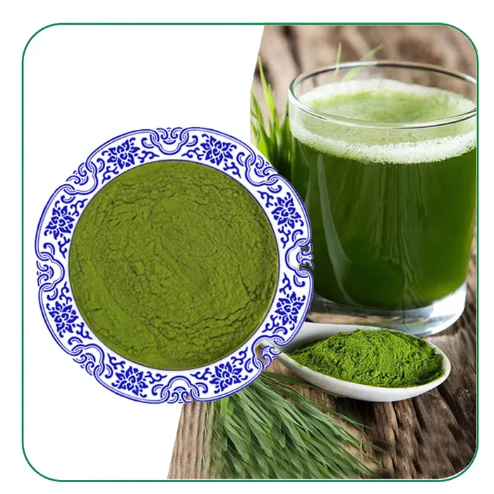 Ausreson Bulk Superfood Barley Grass Juice Powder Barley Grass Extract ...