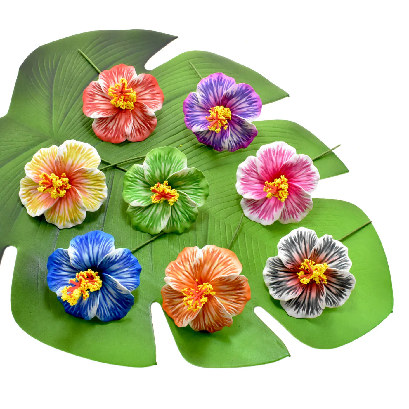 Types Of Hawaiian Foam Flowers at Amber Mcleod blog