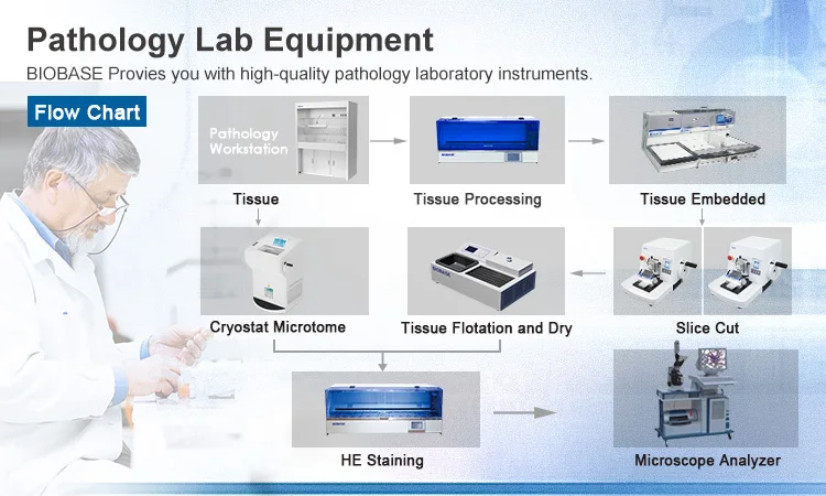 BIOBASE Tissue Flotation Water Bath - Precision & Reliability
