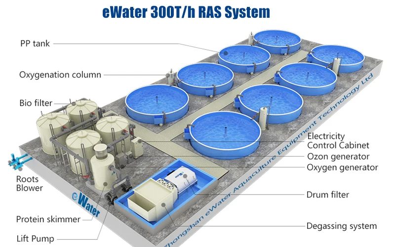 Ras System Aquaculture Pond Ras Farming System,Aquaculture Shrimp ...