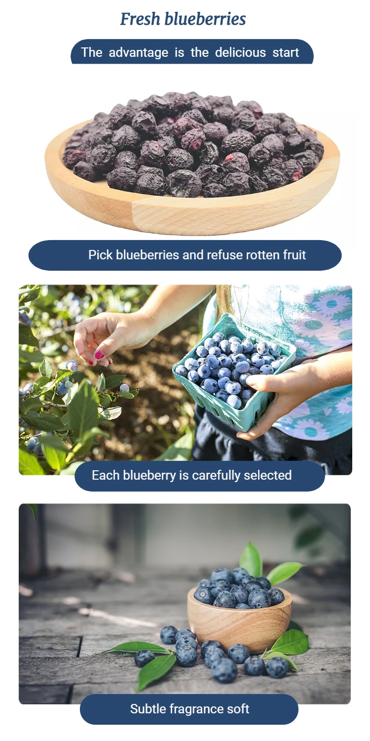 Fd Freeze-dried Whole Crispy Freeze-dried Blueberries Domestic Raw ...