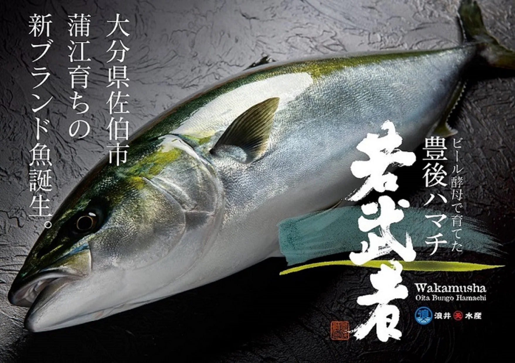 Good-taste Processed Fish Fillet Japanese Fresh Seafood Supplier - Buy ...