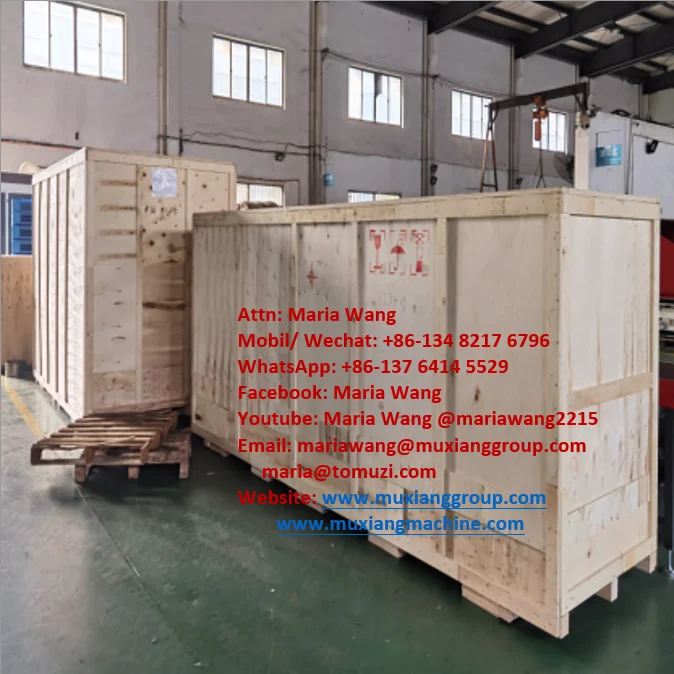 Fixed Plastic Wheels Sorting Conveyor Line Dws Sortation Conveyors ...