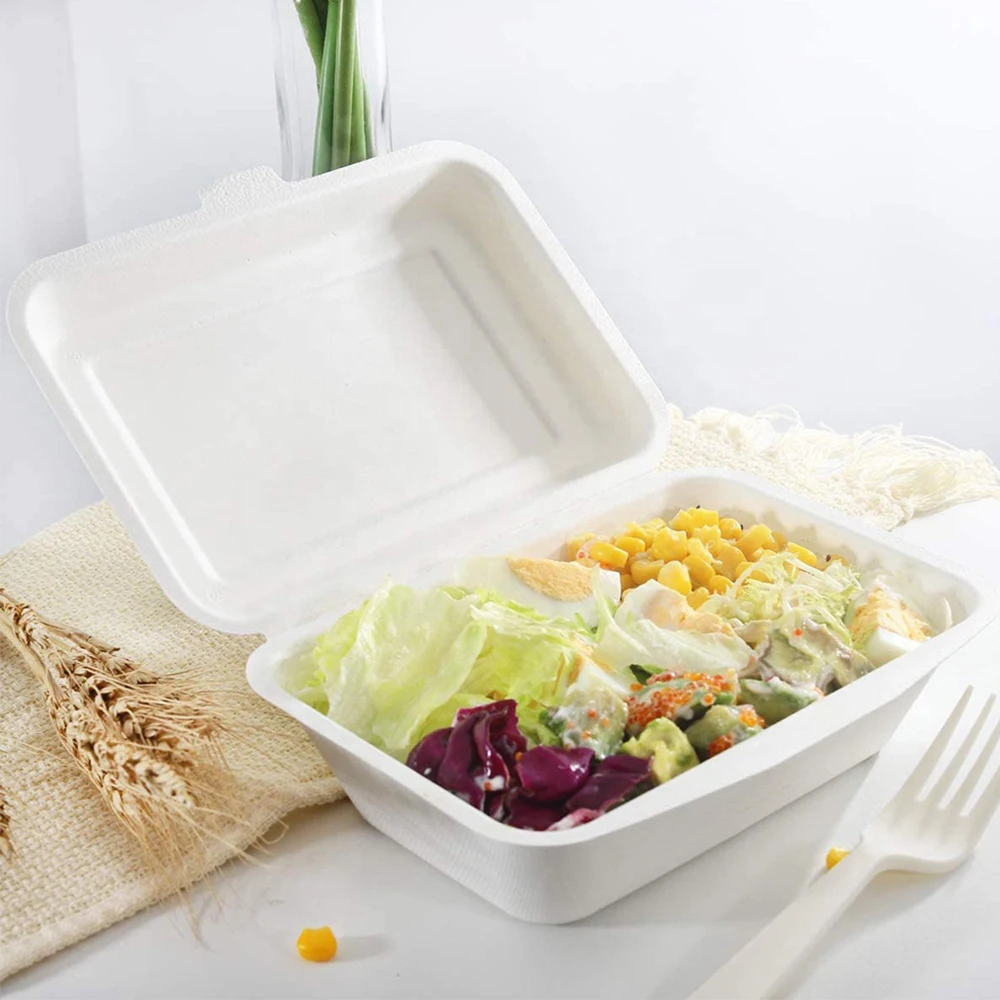 600ml Biodegradable Takeaway Sugarcane Lunch Food Box - Buy Sugarcane ...