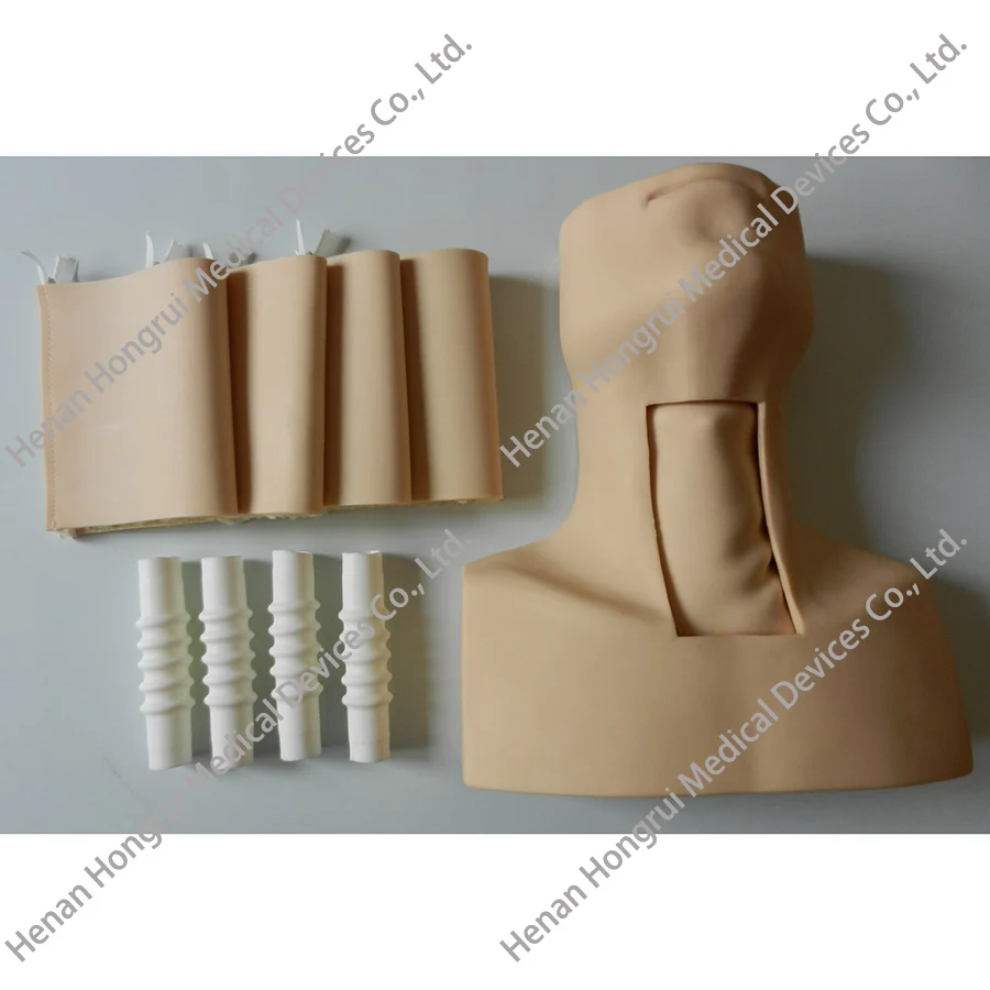 Tracheostomy Care Simulator,Percutaneous Tracheostomy Training Model ...