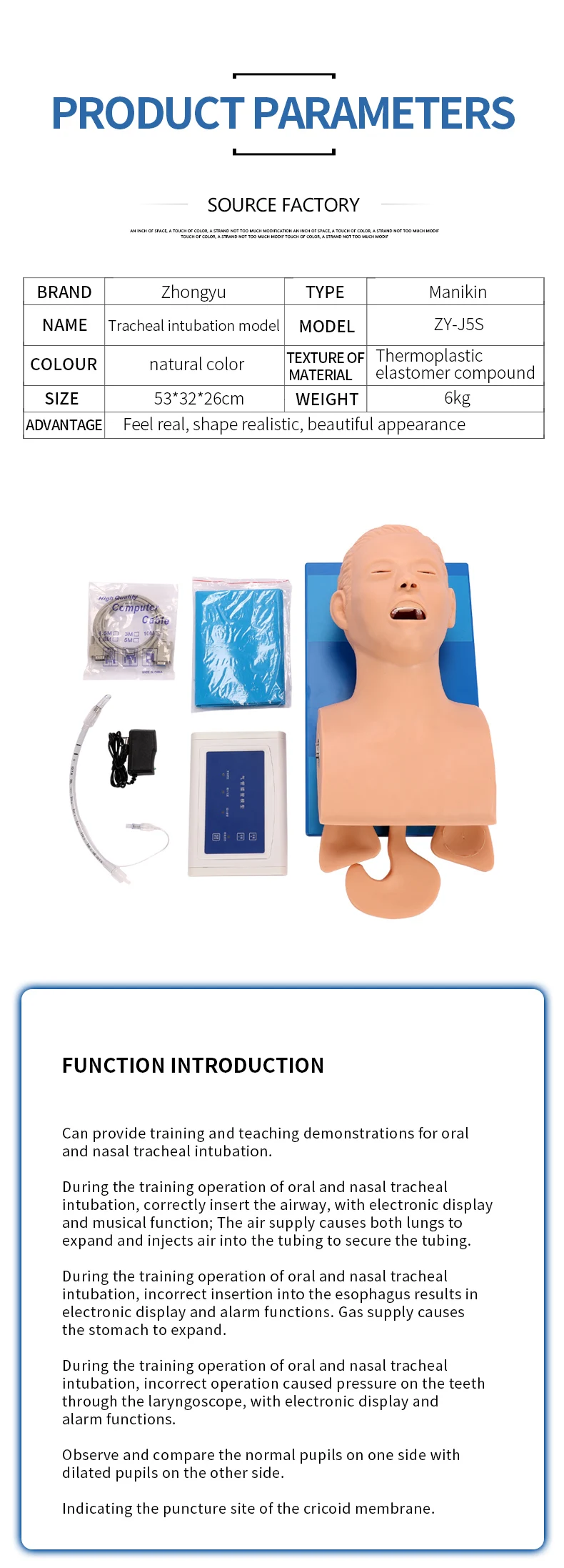 Adult Tracheal Intubation Training Model - Buy Intubation Training ...