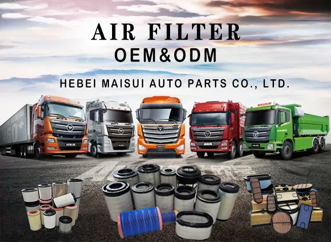 Af4319 C25024 2343432 for Scania Truck L250 2018 Truck Air Filter ...