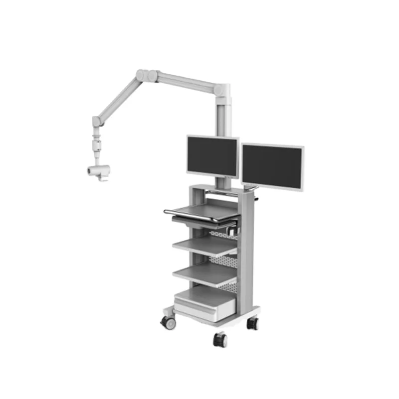 Hospital Mobile Nursing Computer Workstation Trolley for Endoscopic ...
