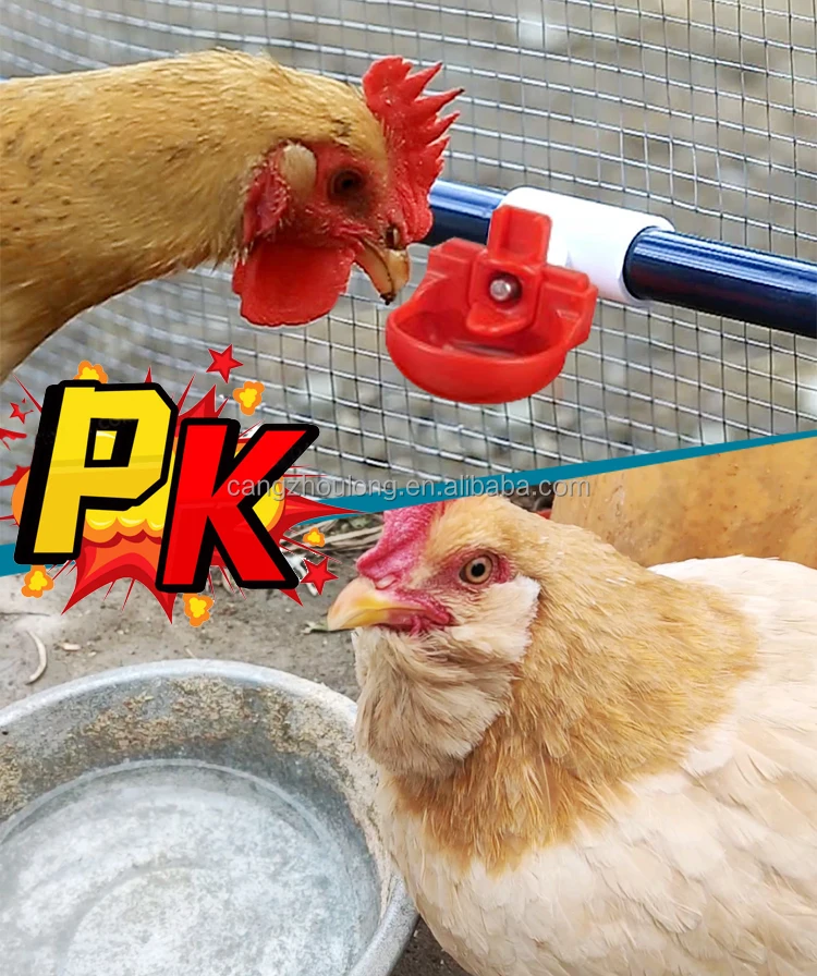 ZB DIY Automatic Backyard Chicken Baby Chick Drinker Set