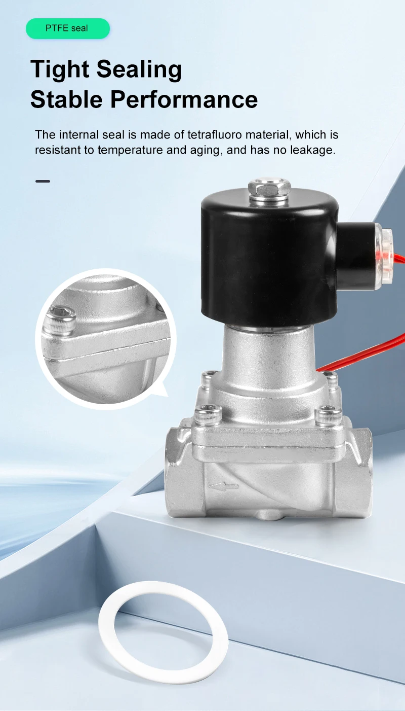 Flange Connection AC220V 304 Stainless Steel Steam Engine Piston ...