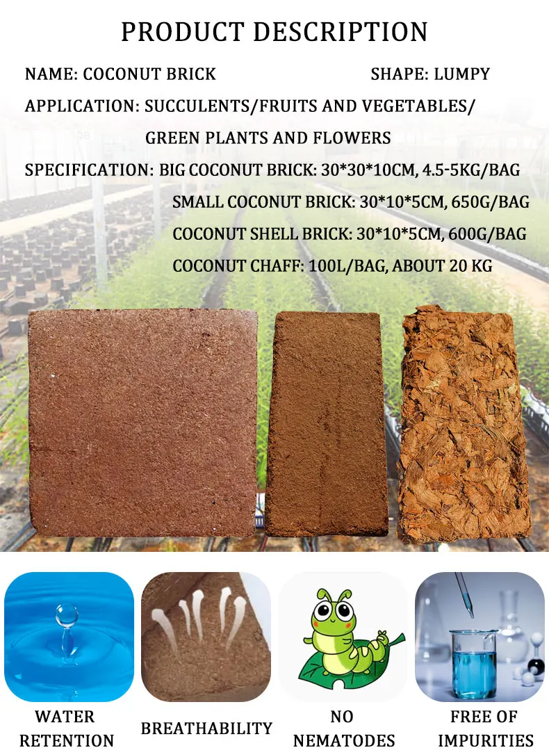 Virgin Raw High Temperature Compressed Natural Coconut Shell Fiber ...